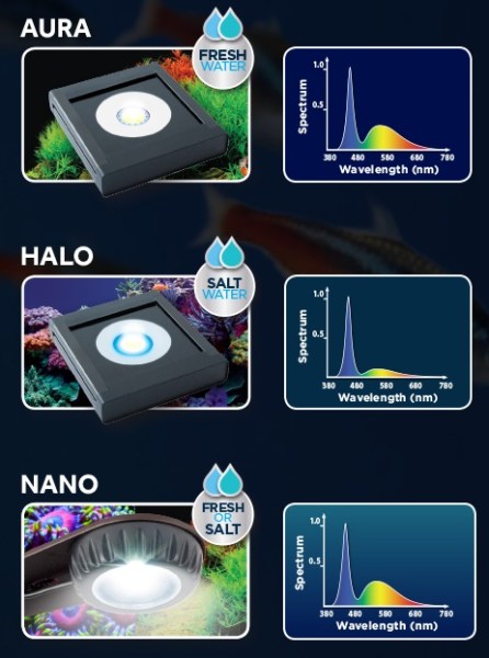 LED Aquarium Light Review- AquaRay, EcoTech, Aqua Illuminations, Finnex ...