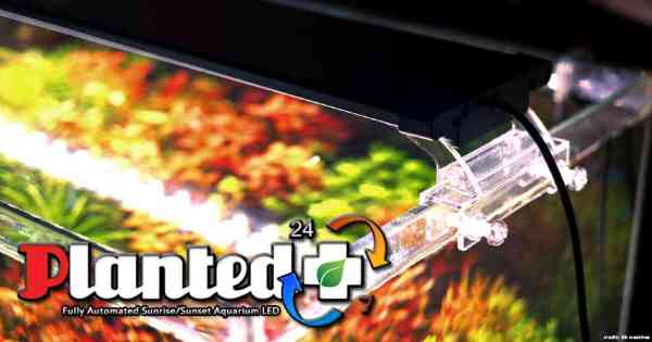 LED Aquarium Light Review- AquaRay, EcoTech, Aqua Illuminations, Finnex ...