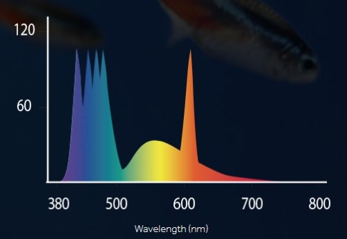 LED Aquarium Light Review- AquaRay, EcoTech, Aqua Illuminations, Finnex ...